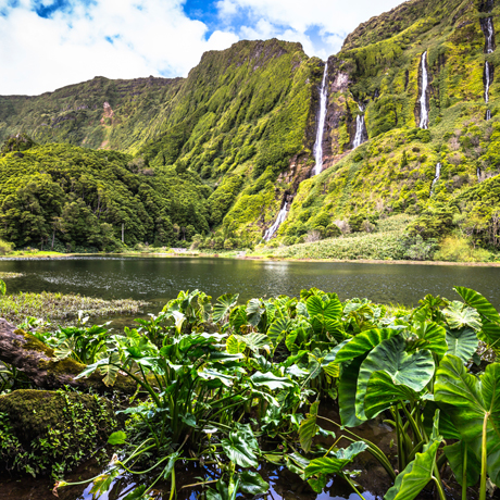 Tempererat klimat – läromedel i geografi åk 7,8,9